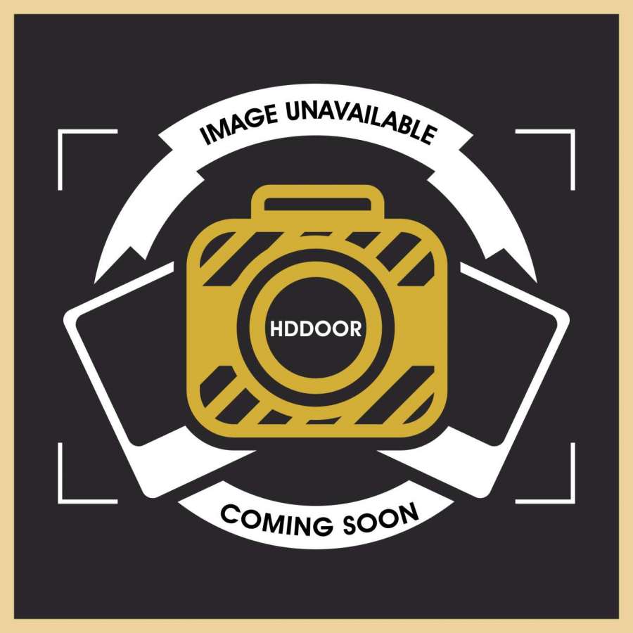 Frameless Frosted Glass Swing Door with Hydraulic Closer | Glass Door